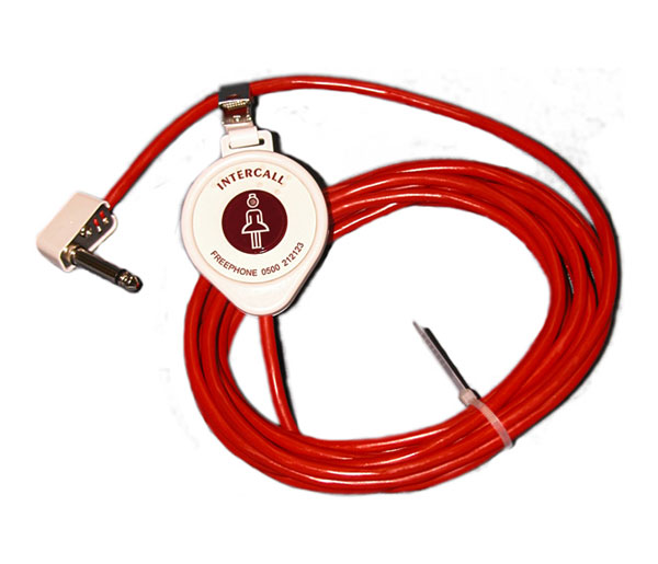 Styled 2m Pear Push Wander Lead with Re-assurance Light – Irish Safety ...